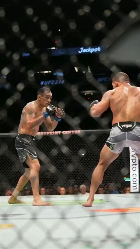 Most Brutal Fights Ever Craziest Kos Ever Video In 2022 Ufc