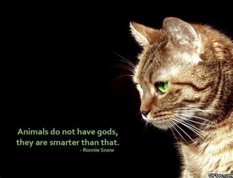 GIF - Lucky Animals - Viral Viral Videos