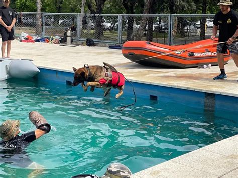 Egresaron nuevos operadores tácticos K de la Policía de la Ciudad cómo es el trabajo que