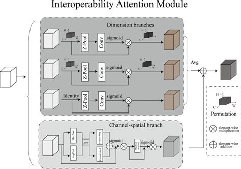 Ci Unet Melding Convnext And Cross Dimensional Attention For Robust