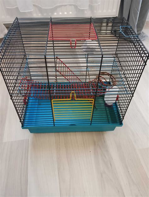 Klatka Dla Chomika Myszki Bydgoszcz OLX Pl