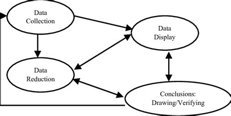 Components In Data Analysis Interactive Model Download Scientific