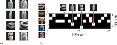2 a encoding of objects via learned view tuned cells for each