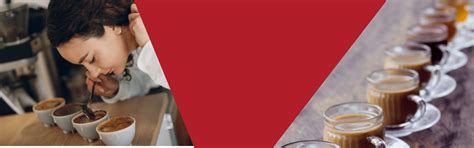 Perfil Descritivo Otimizado Pdo Métodos Rápidos Sensory Design