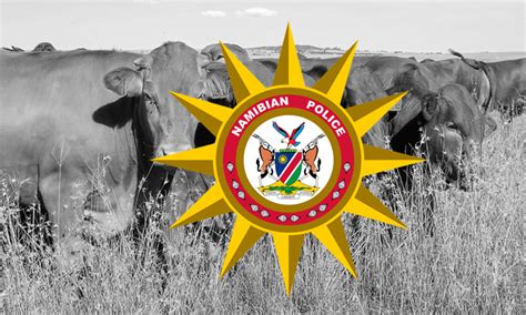 Man Arrested For Cattle Theft Top Story 1 The Namibian