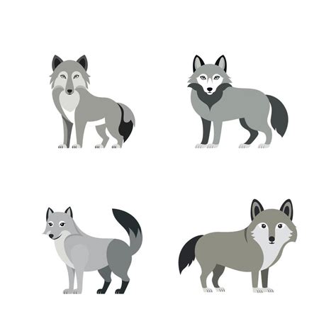 Minimalist Flat Wolf Illustration On White Background Simple Stylized