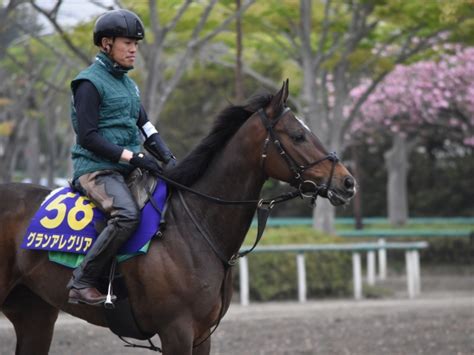 グランアレグリア、nhkマイルc1週前厩舎情報美浦トレセンニュース 競馬ニュース Netkeiba