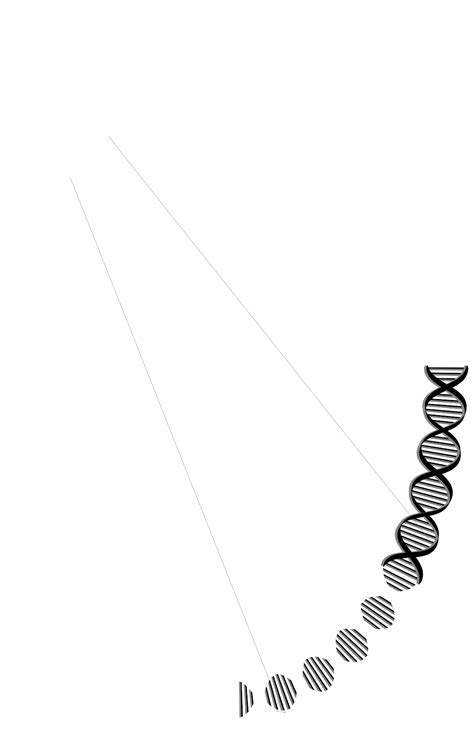 Download Dna Ellipse Svg Freepngimg