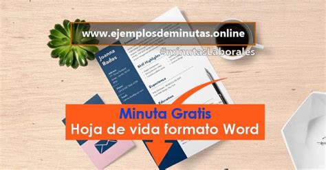 Hoja De Vida Formato Único En Word Persona Natural Y Jurídica 2023