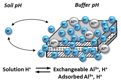 1 04 106 Soil PH Buffer PH And Lime Requirement ServiTech S Cultivated Knowledge