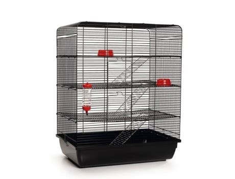 Beeztees Gaiola Para Ratos Remy Preto 58x38x71 Cm 266815 Worten Pt