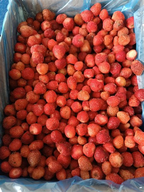 Domasna Zimnica Domasna Zimnica Домашна зимница