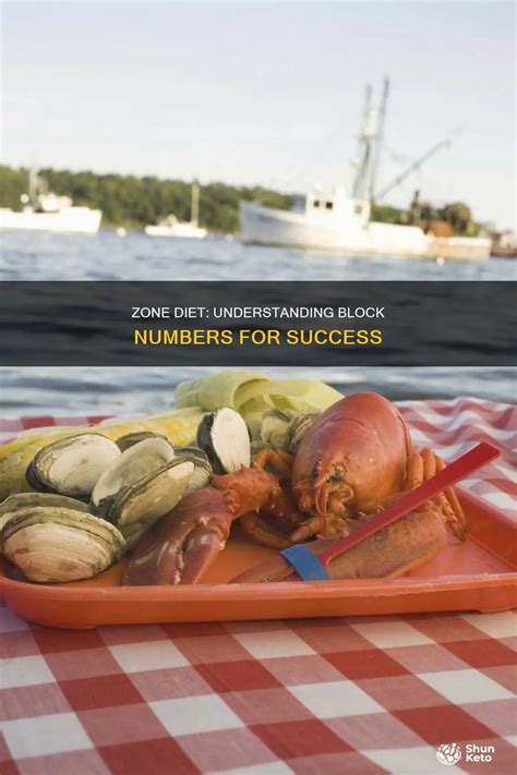 Zone Diet Understanding Block Numbers For Success Shunketo