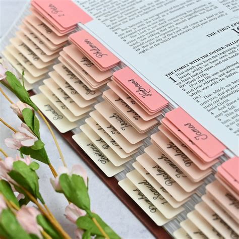 Catholic Pink Bibles Etsy