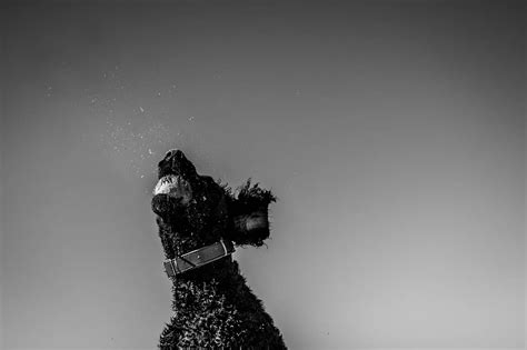 Get Organized How To Auto Sort Your Javascript Imports With Eslint By Adam J Arling