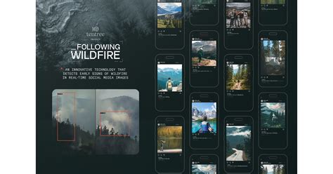 New Wildfire Detection Tool Scans Social Media Pics To Help Detect