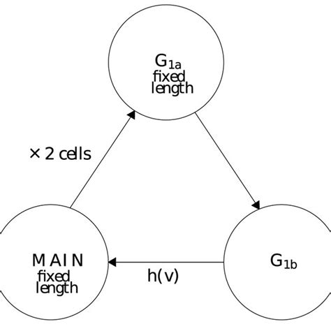 Overview Of A Three Compartment Age Structured Model Download Scientific Diagram