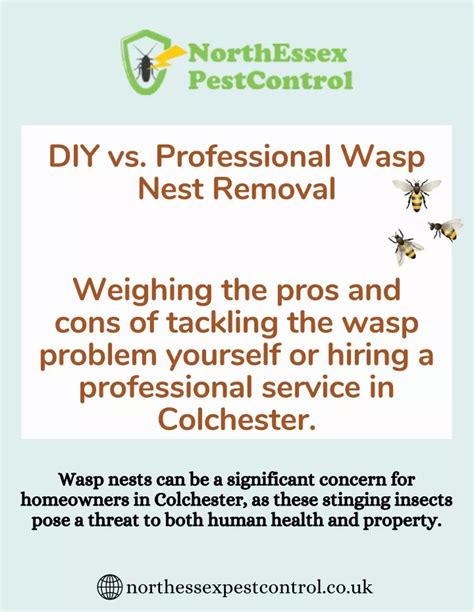 Ppt Wasp Nest Removal Colchester By North Essex Pest Control