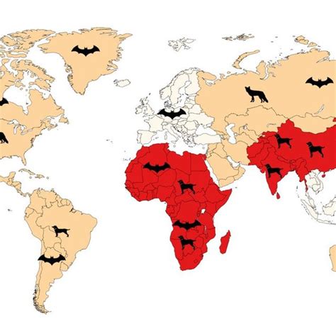 Representation Of Worldwide Distribution Of Rabies Virus Affected Area