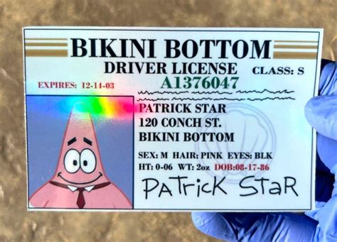 Spongebob Patrick Star Driver License Sticker Holographic Waterproof Vinyl Decal Etsy