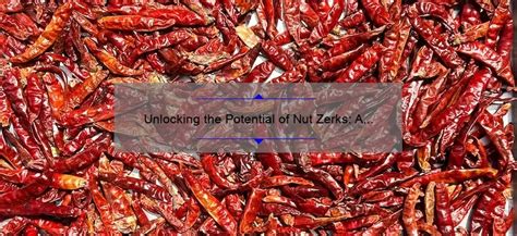 Unlocking The Potential Of Nut Zerks A Comprehensive Guide Baru