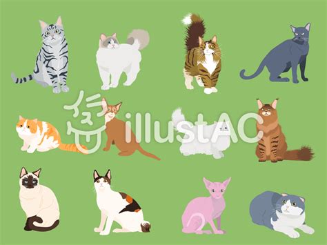 猫セット02イラスト No 1527108／無料イラストなら「イラストac」