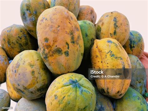 잘 익은 파파야 과일 원시 파포 신선한 파포 Caricapapaya 다육 육즙 전체 파파야 파페에타 음식 근접 촬영 파파예 레코자 이미지 마마오 사진 0명에 대한 스톡 사진