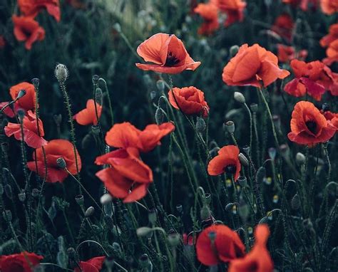 성공하는 사람은 실패하는 사람이 하지 않을 일을 기꺼이 하는 사람이다