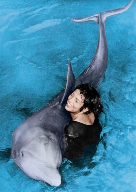 Researcher Margaret Lovatt Describes Sexual Experiences With Dolphin In