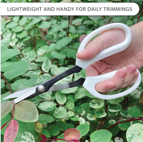 Tijeras De Jardinería De Precisión Tijeras De Podar Para Orquídeas