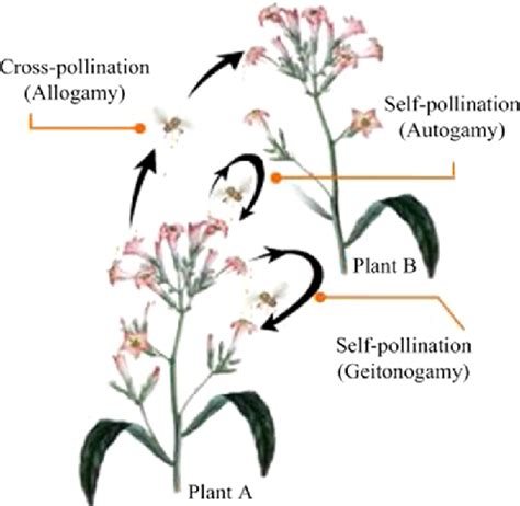 Figure 9 From Fractional Order Pid Controller Design For Dc Motor Speed