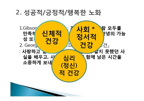 노년학 성공적 노화 사회과학