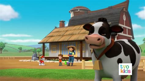 Bettinagallerypups Get Growing Paw Patrol Wiki Fandom