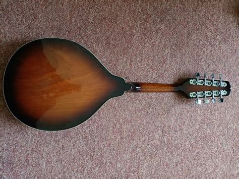 Epiphone Mandolin For Sale In Clonmel Tipperary From Patrick Cahill