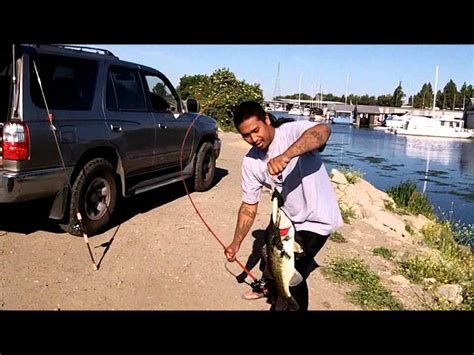 Ca Delta Bass Fishing Youtube