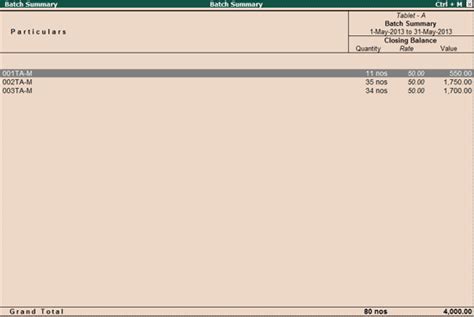 batch summary report