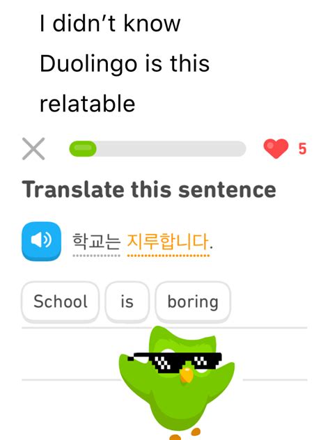 30 Hilarious Duolingo Memes Artofit