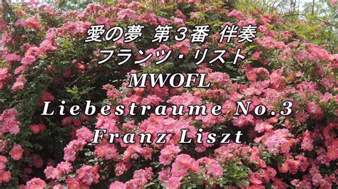 愛の夢 第3番伴奏 リスト MWOFL Liebestraume No 3 Liszt YouTube