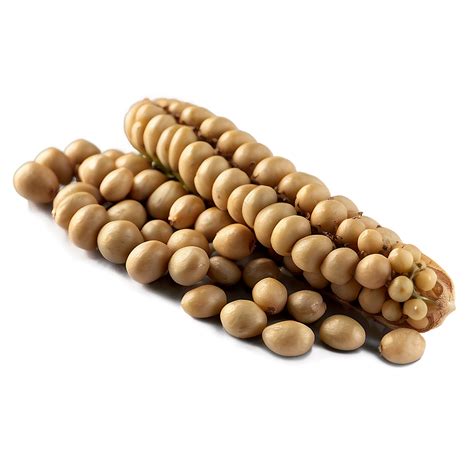 Download Soybean Culinary Uses Png Ahb54