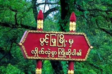ပွင့်ဖြူမြို့နယ်တွင် ကိုဗစ် ၁၉ ရောဂါပိုး ၁၅ ဦး ထပ်မံ စစ်ဆေးတွေ့ရှိ