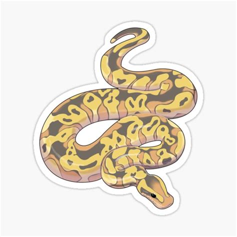 Cute Ball Python Sticker By MiaKerryAirs Redbubble