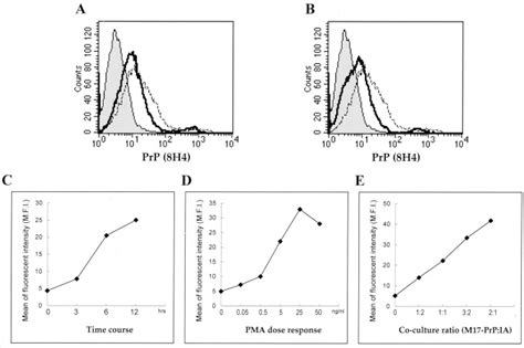 Intercellular Transfer Of The Cellular Prion Protein Journal Of