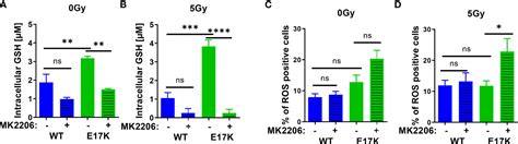 Frontiers Targeting Akt Dependent Regulation Of Antioxidant Defense
