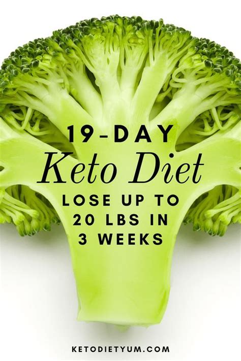 19 Day Keto Diet Plan For Beginners With Easy Recipes In 2024 Diet