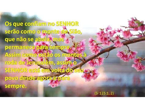 A Mão Da Vida Os Que Confiam No Senhor