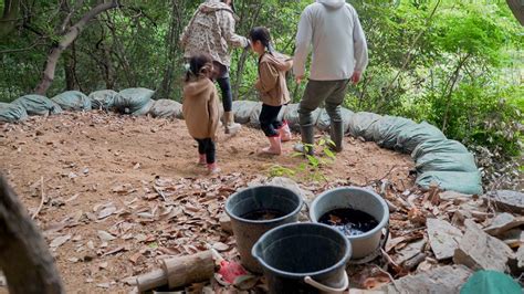 埼玉県の荒れた山林を買って3年。今までの開拓記録まとめ Tsukuru 山開拓と森のこびと やまこび