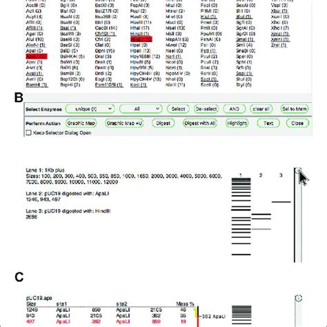 Pdf Ape A Plasmid Editor A Freely Available Dna Manipulation And