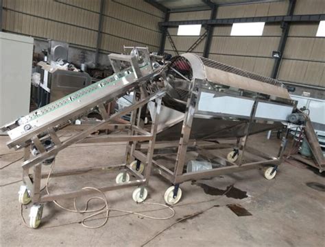 Fresh Cocoa Pod Cutting Machine Cocoa Beans Separating Machine