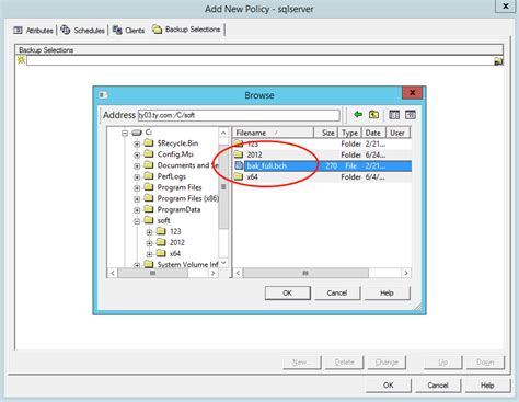 Netbackupnbu 之 Sql Server 备份、还原 墨天轮